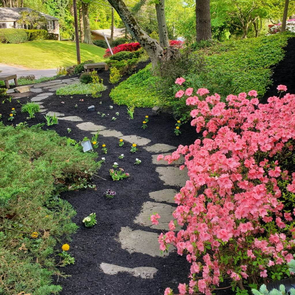 Delaware Landscaping Services | Backyard Paradise Landscaping